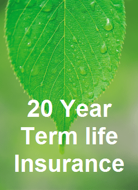 What is 20 Year Term Life Insurance? | Goldsmith Insurance